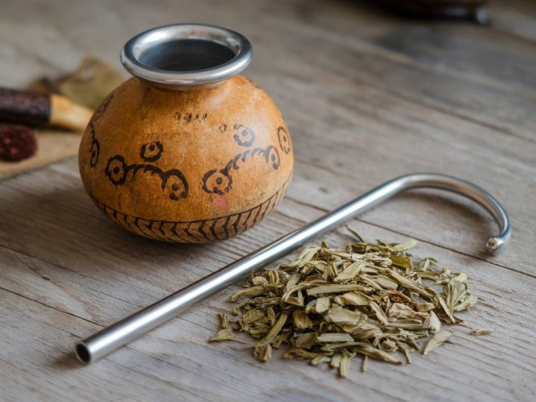 Histoire et Fabrication du Maté : Boisson Traditionnelle Argentine ...